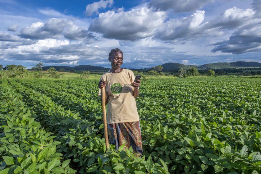 Fund Overview - Goodwell