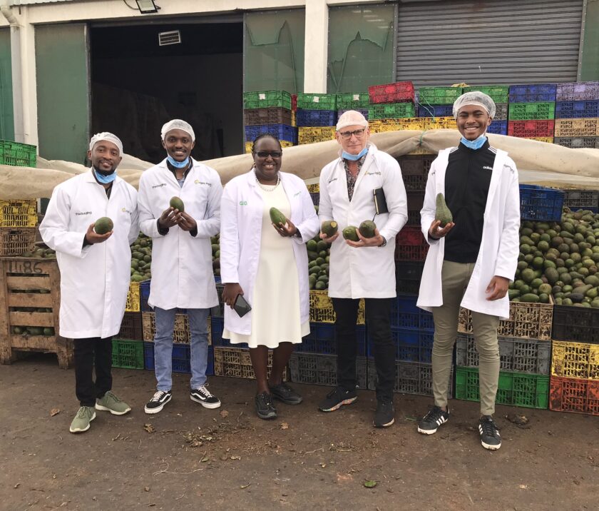 Transforming agriculture with EA Foods - Goodwell